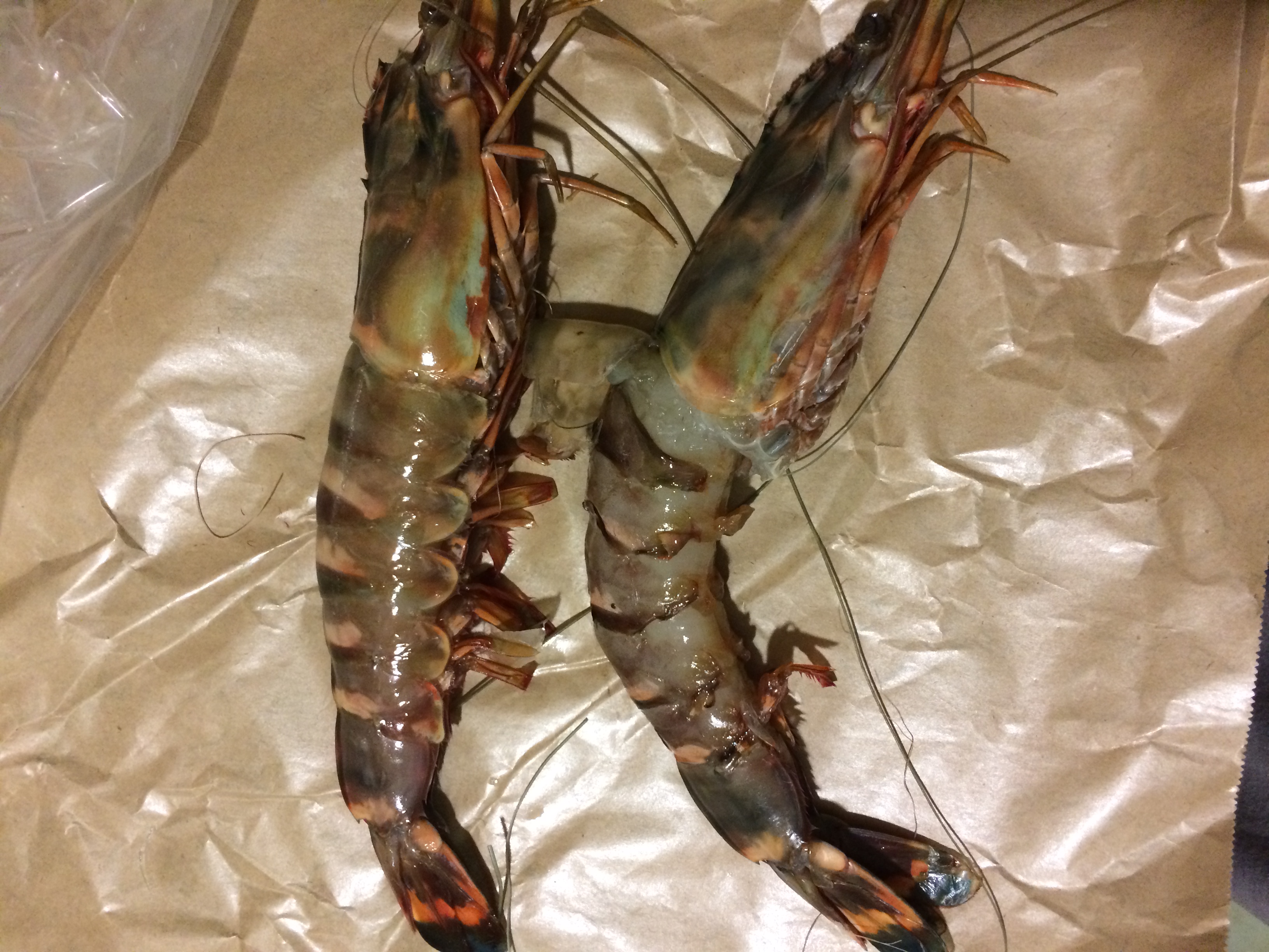 fresh prawns - Liz's Pantry